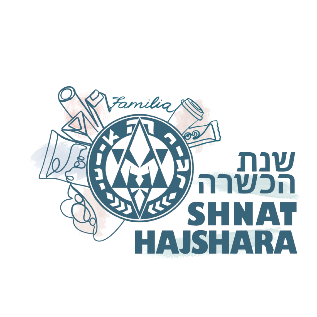 Programs in Israel – Hanoar Hatzioni Haolami